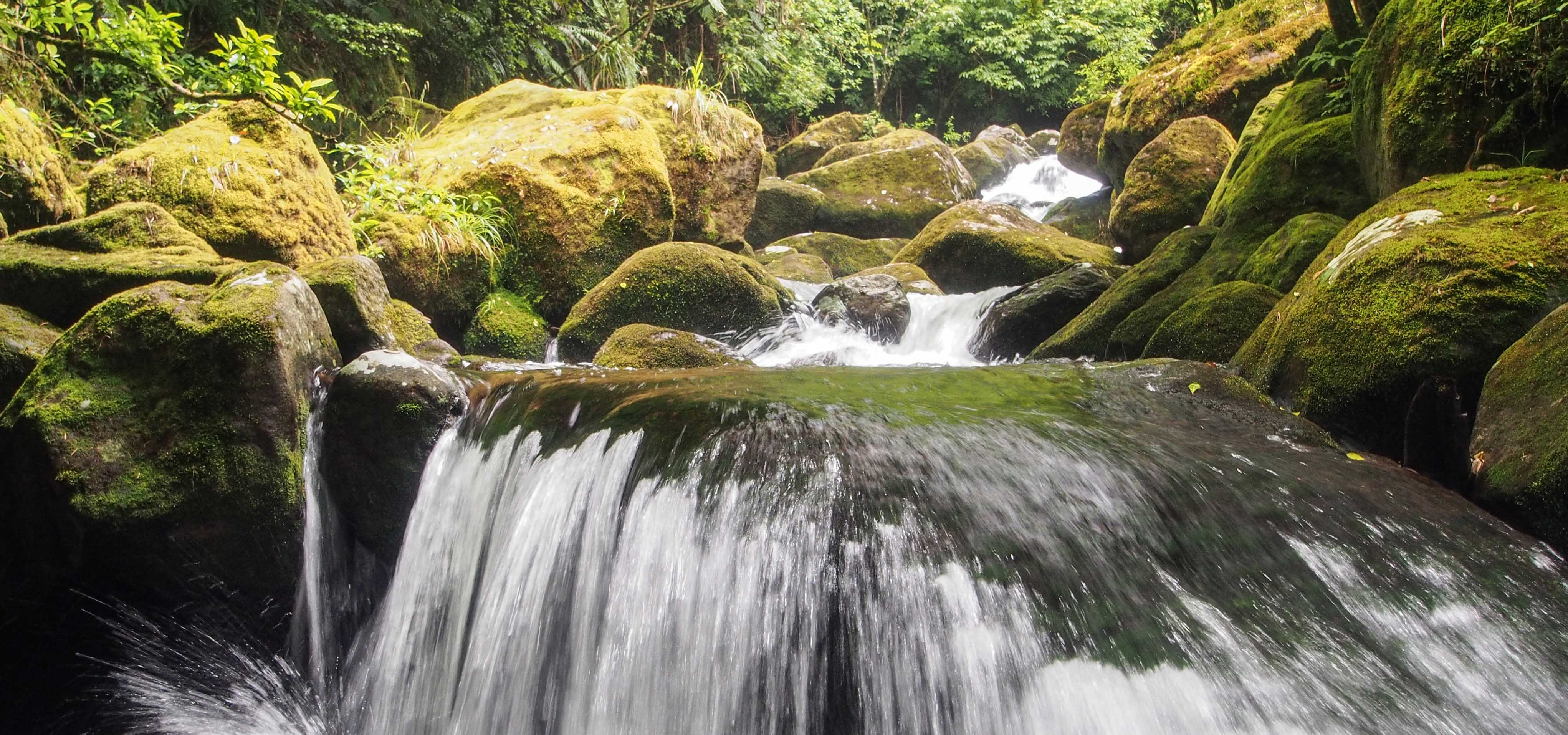 Home - Matamata Medical Centre